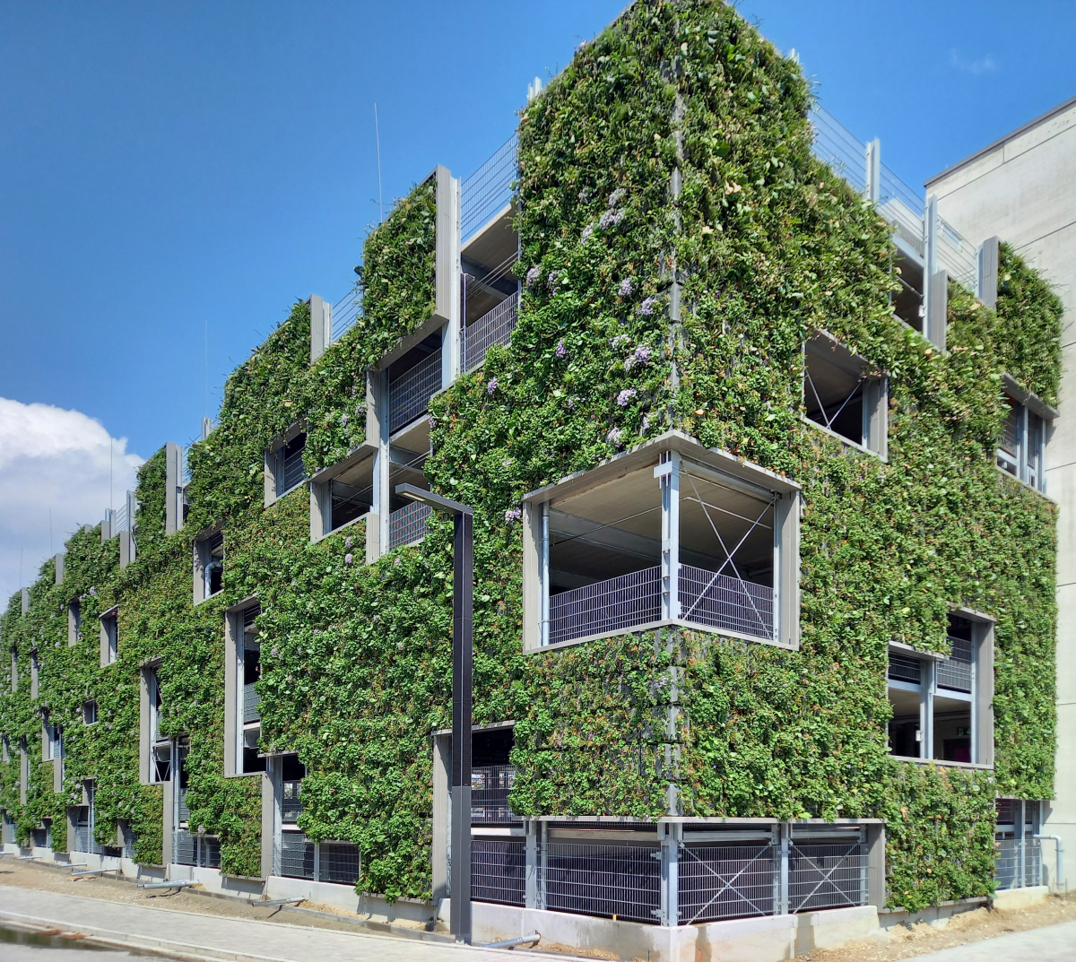 Dachbegrünung: Fakten für Facility Manager - Facility Management ...